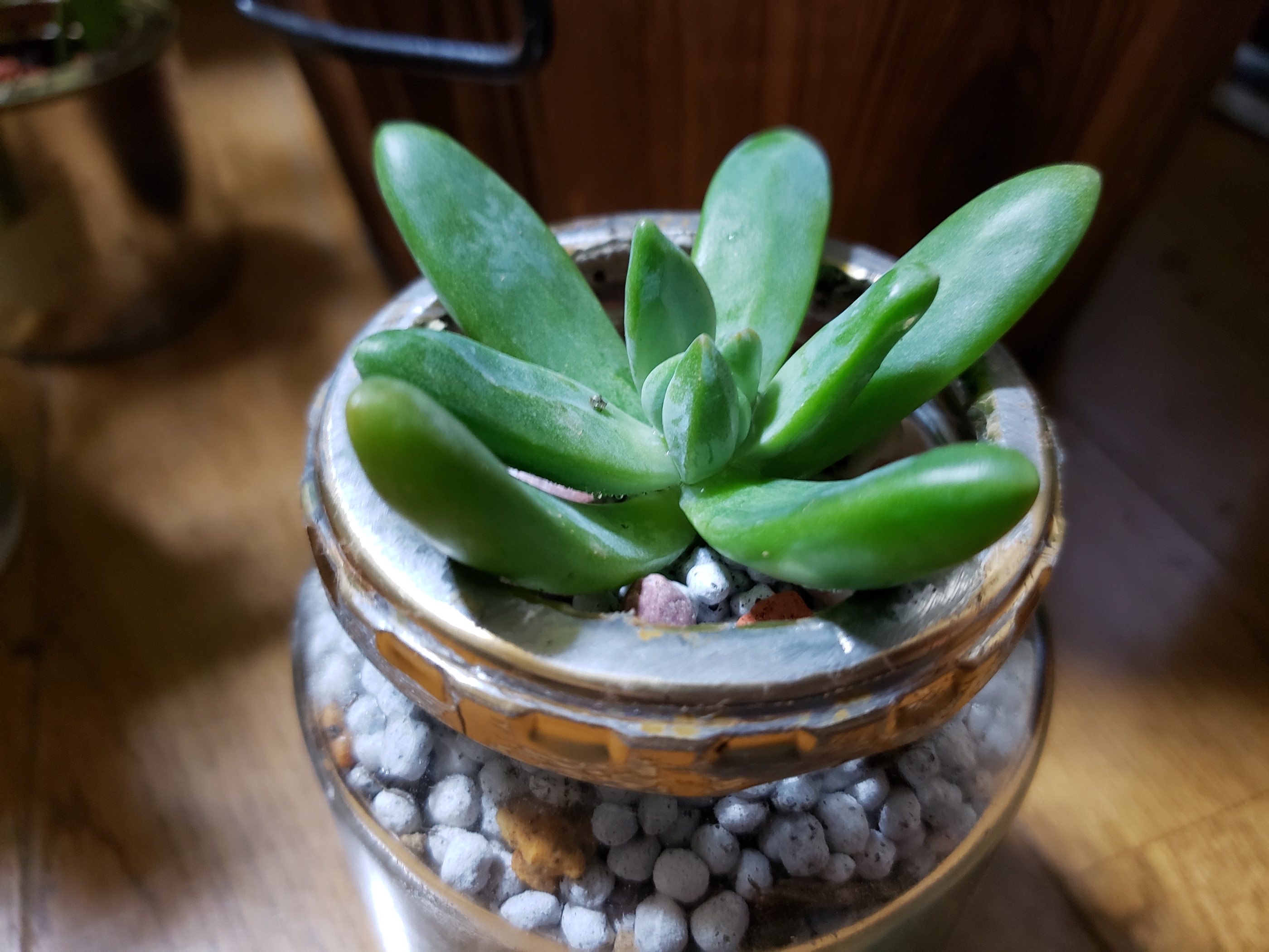 about us | PHAZOR.JP